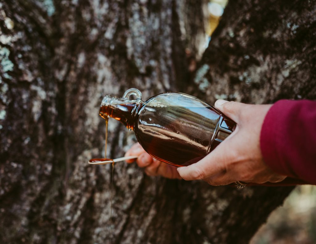BUY Home Page | West Virginia Maple Syrup Producers Association